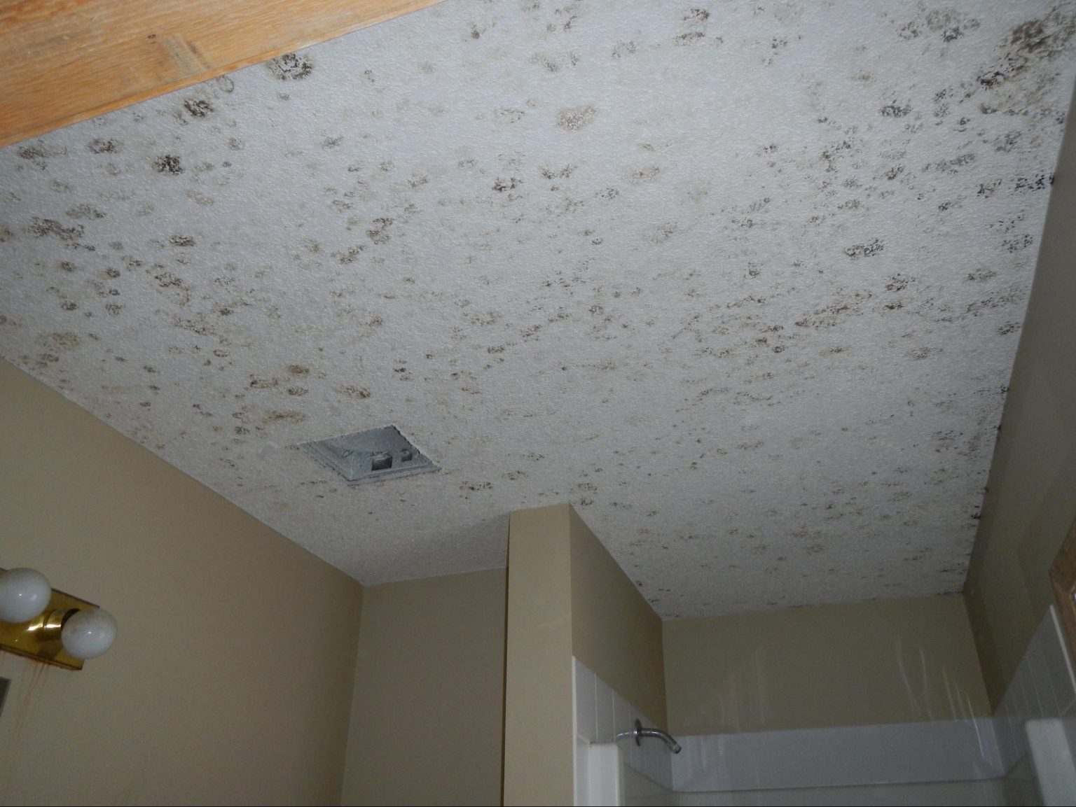 Winter Mould Growth Prevention Guide | Mayken Hazmat Solutions
